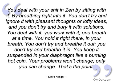 you-deal-with-your-shit-in-zen-by-sitting-steve-krieger – A Pondering Mind