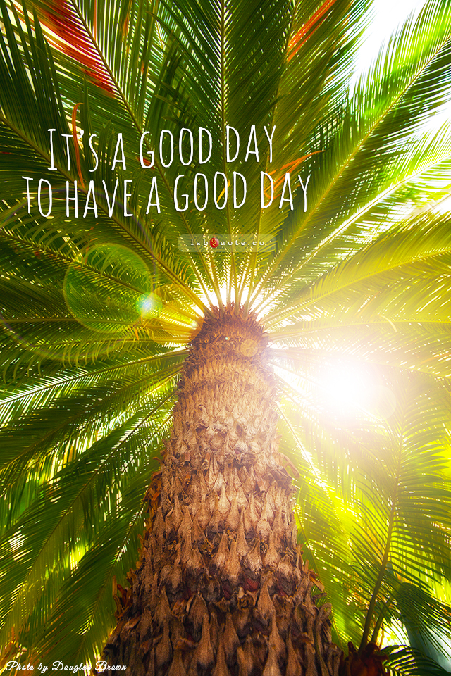 “It’s a good day to have a good day” – A Pondering Mind