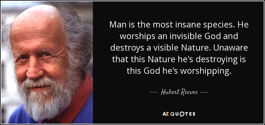 Hubert Reeves Quote – A Pondering Mind